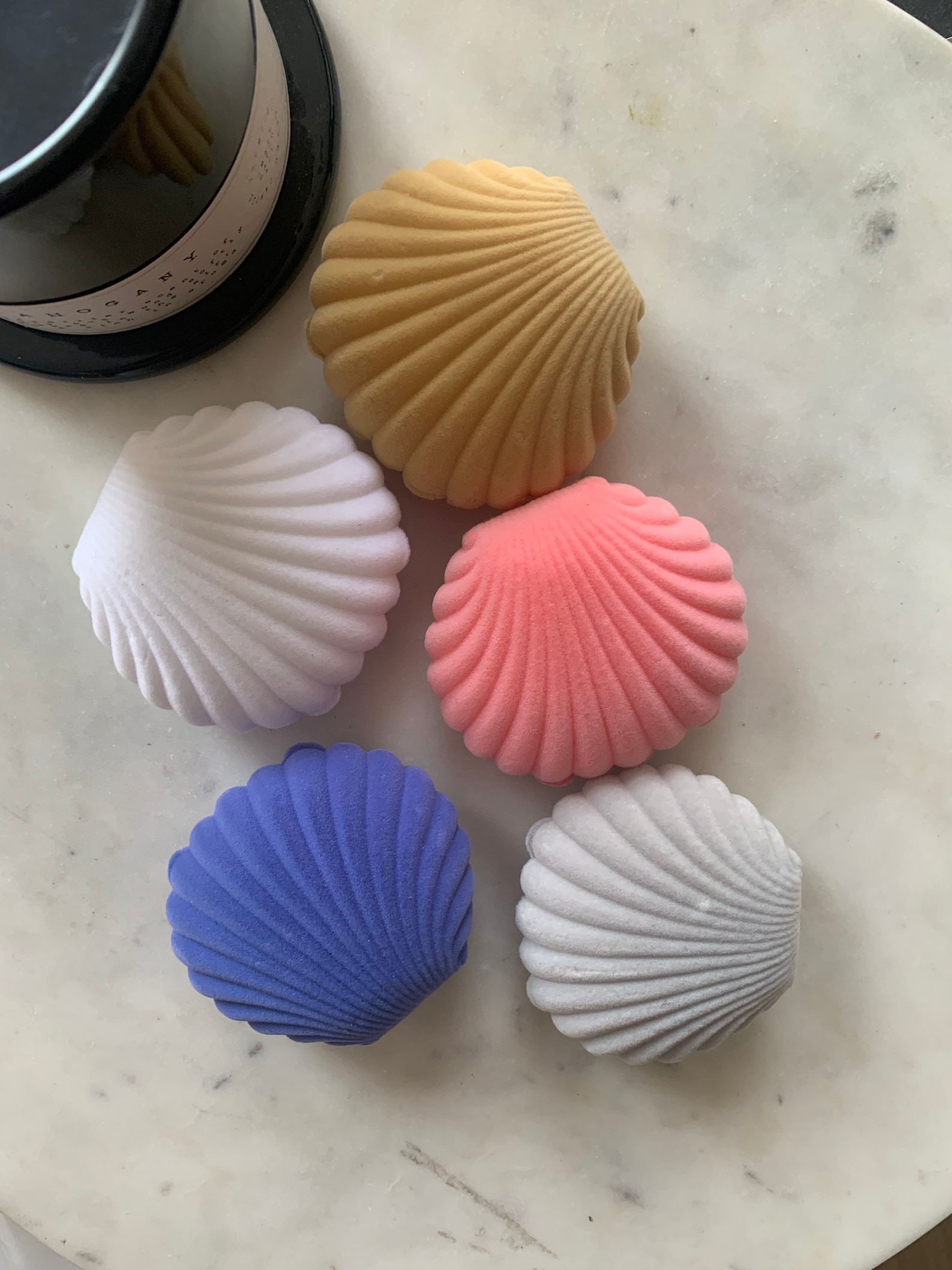 Velvet Shell box | Etsy