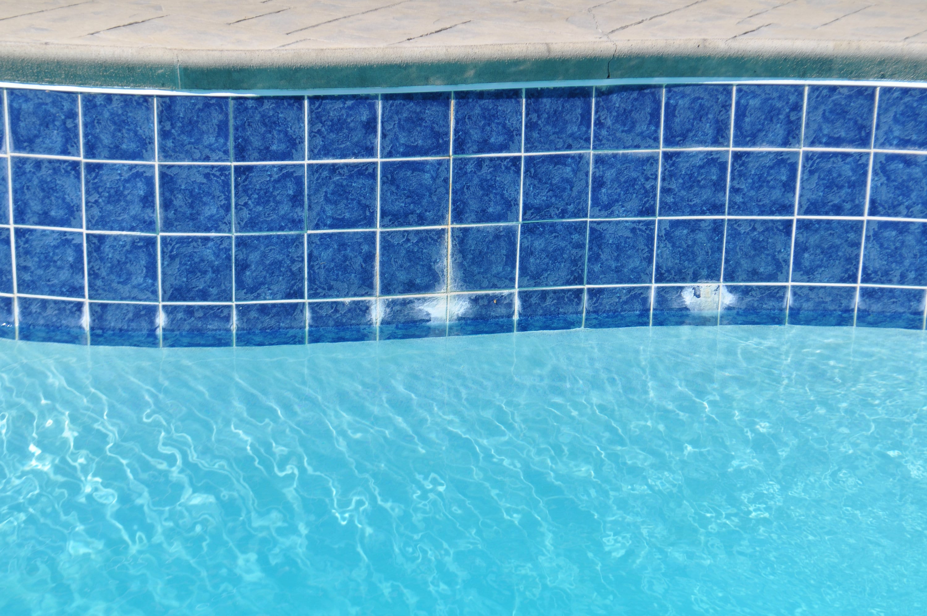 WHITE Grout-(sanded Grout/unsanded Grout) With Sealer and Anti Fungus ...