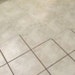 Bone Grout (sanded Grout/unsanded Grout) Antifungus,with Sealer. - Etsy