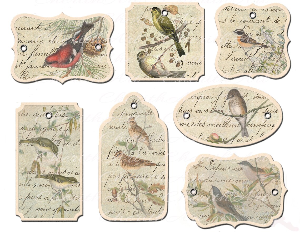 Printable Vintage Bird Tags & Labels -victorian Design - Digital ...