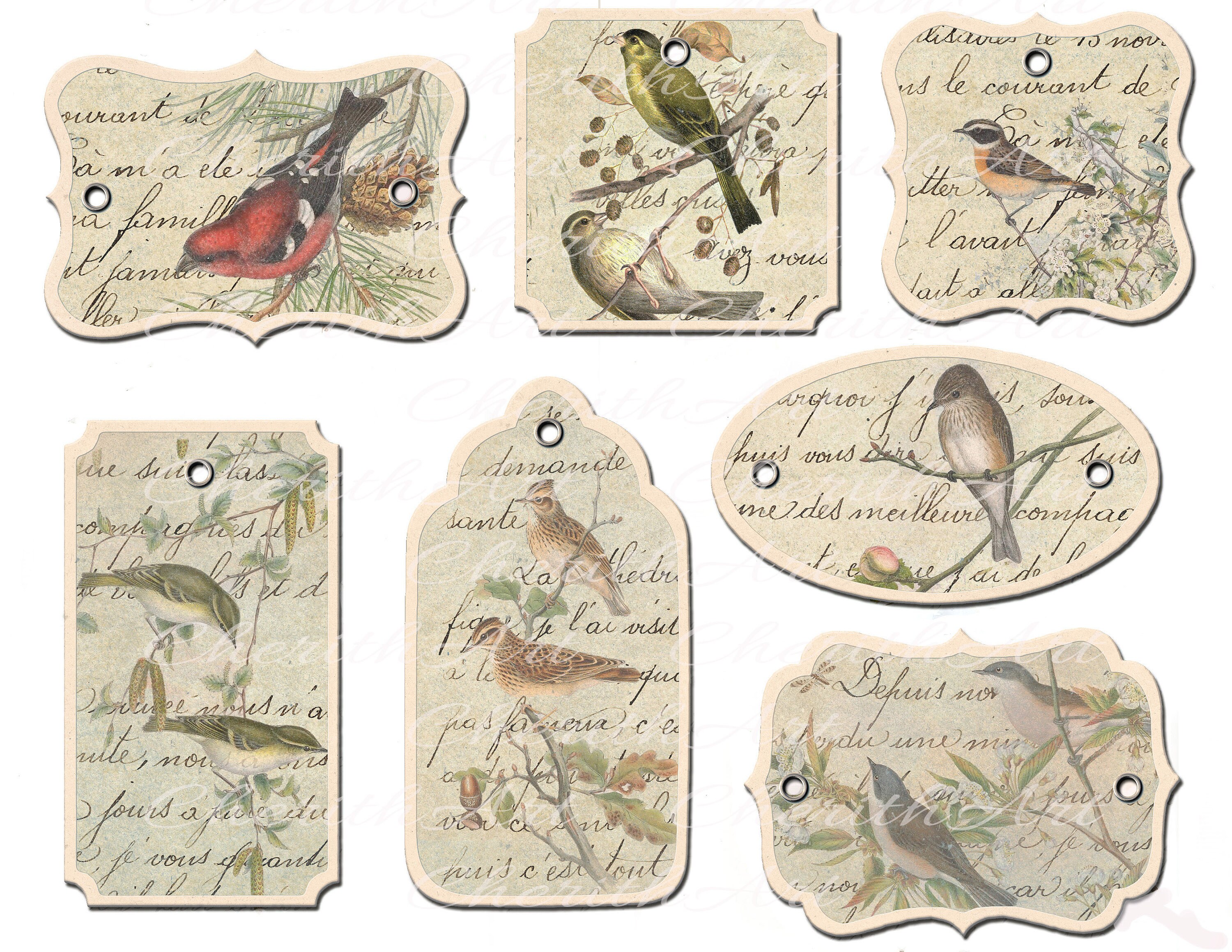 Printable Vintage Bird Tags & Labels -victorian Design - Digital ...