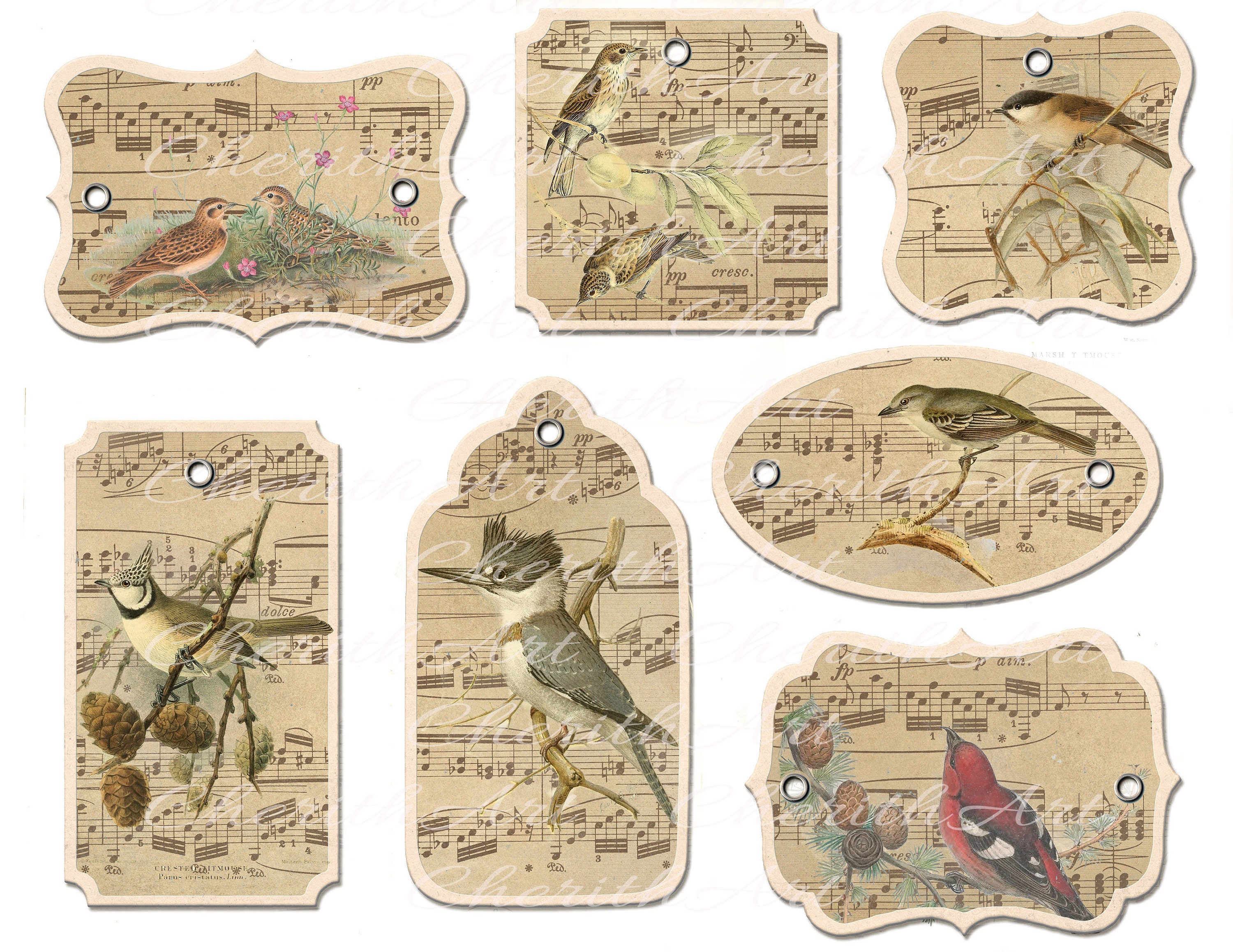 Printable Vintage Bird Tags & Labels -victorian Design - Digital ...