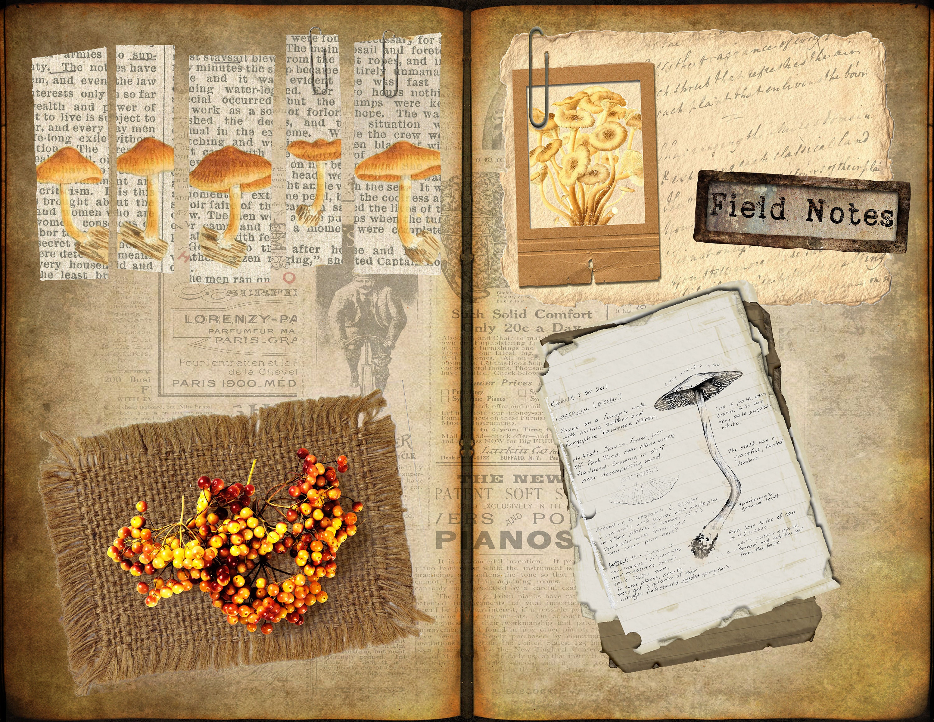 Rusty Bookplate Journal Prompts - Digital Download - Etsy