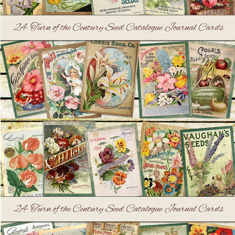 Vintage Ephemera 1800s - Etsy