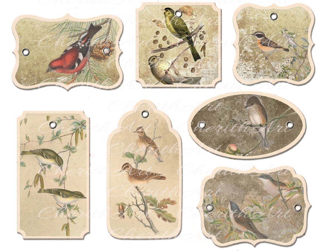 Printable Vintage Bird Tags & Labels -victorian Design - Digital ...