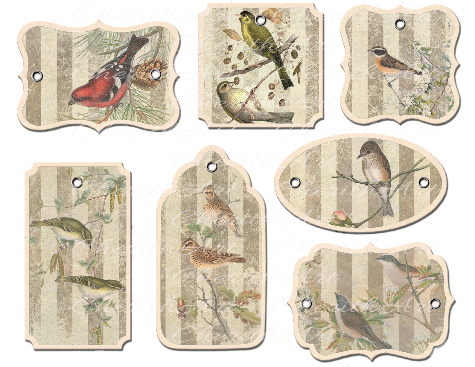 Printable Vintage Bird Tags & Labels -victorian Design - Digital ...