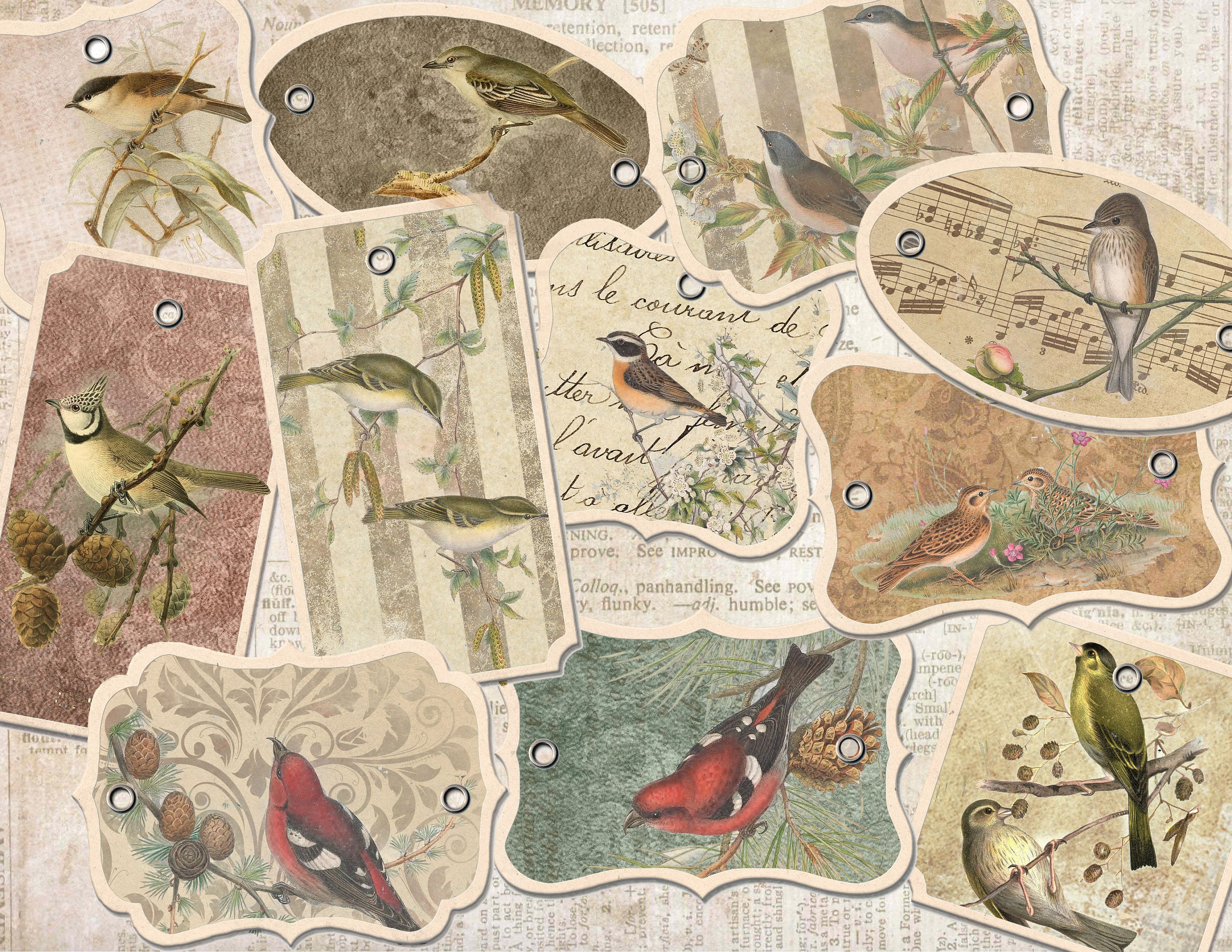 Printable Vintage Bird Tags & Labels -victorian Design - Digital ...