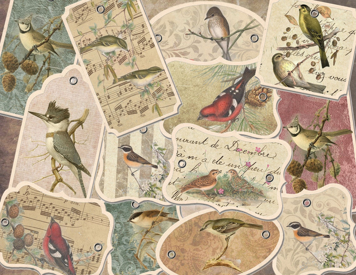 Printable Vintage Bird Tags & Labels -victorian Design - Digital ...