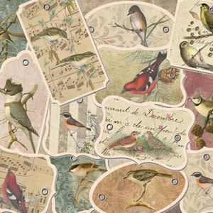 Printable Vintage Bird Tags & Labels -victorian Design - Digital ...