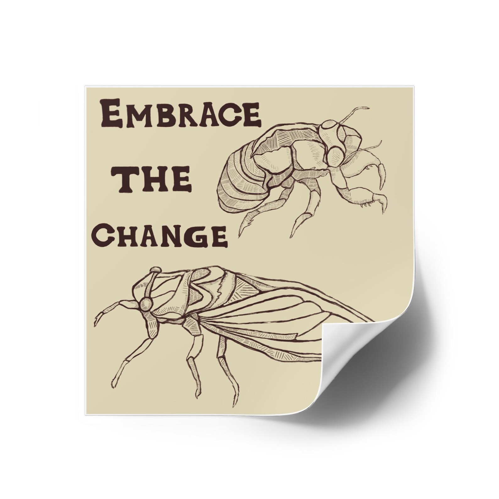 Cicada Sticker, Cicada, Cicada Exoskeleton, Cicada Wing, Cicada Shell ...