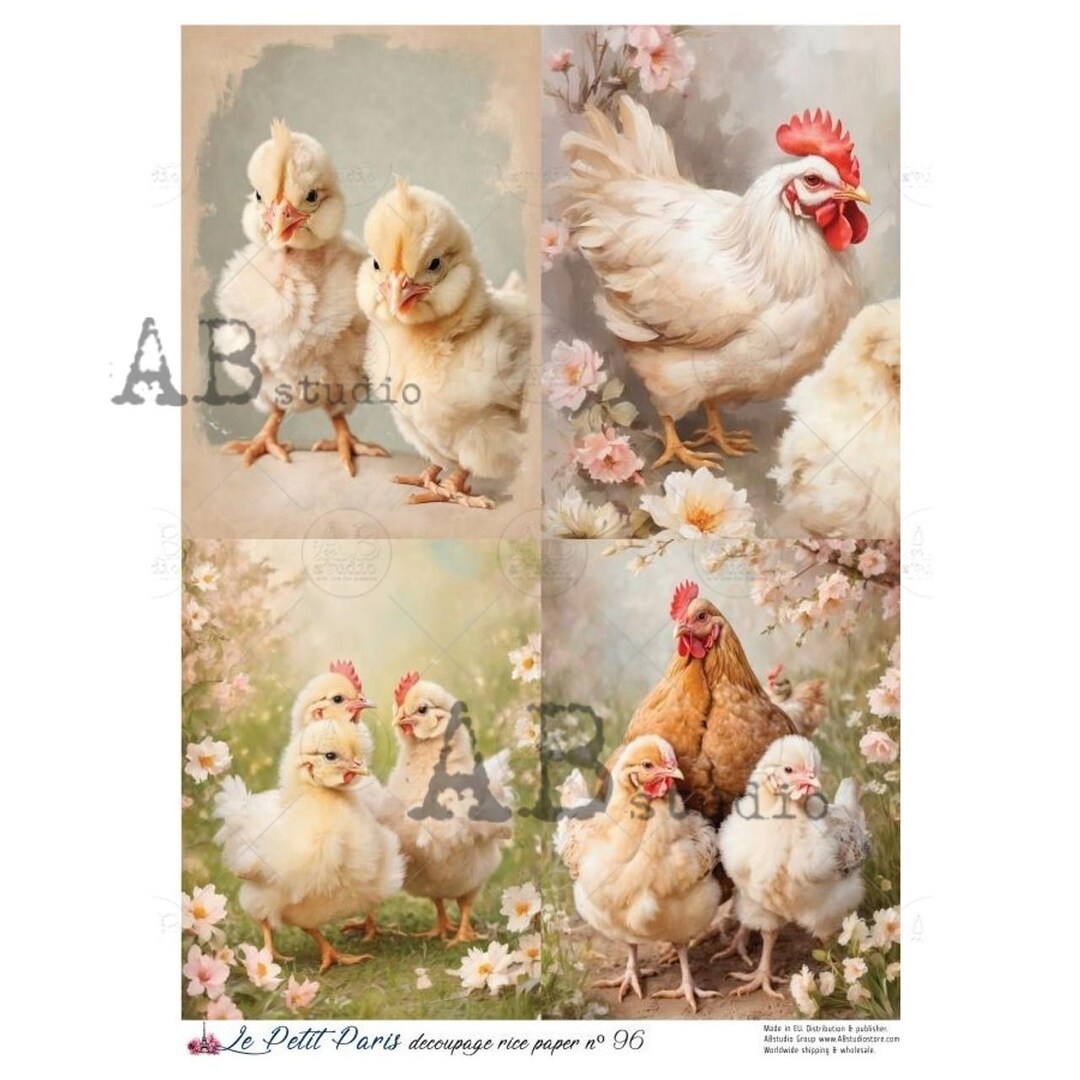 AB Studios Four Chicks and Hens Scenes A4, 4 Pack, Decoupage, Mixed ...