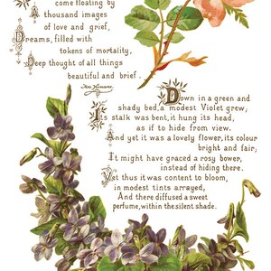 IOD Lover of Flowers Transfer, 12x8 Pad, Mixed Media, Furniture, Card ...