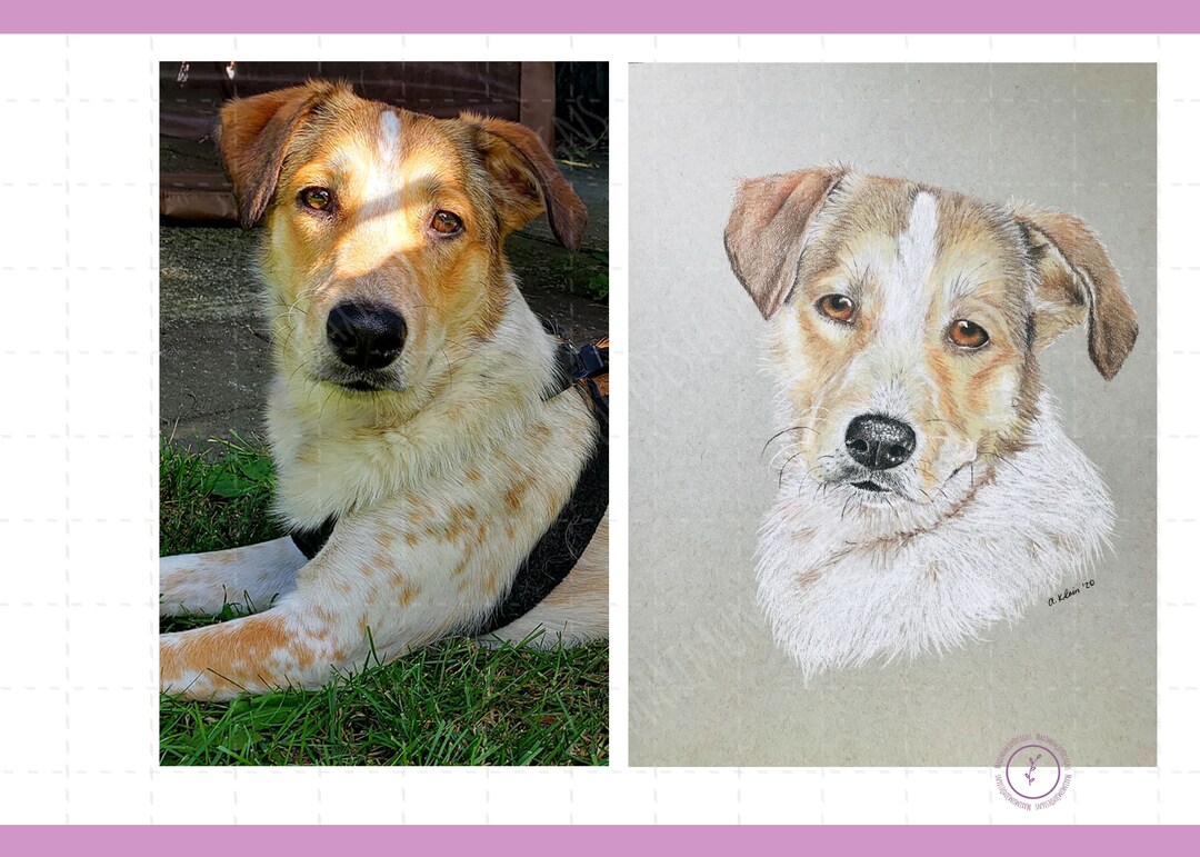 Custom Hand Drawn Pet Portrait | Pet Memorial | New Pet Gift | Chalk ...