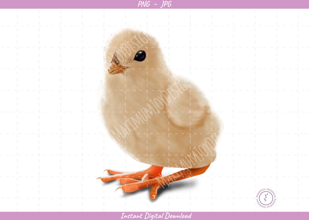 Easter Chick Sublimation Clip Art / Hand Drawn / Digital Download ...