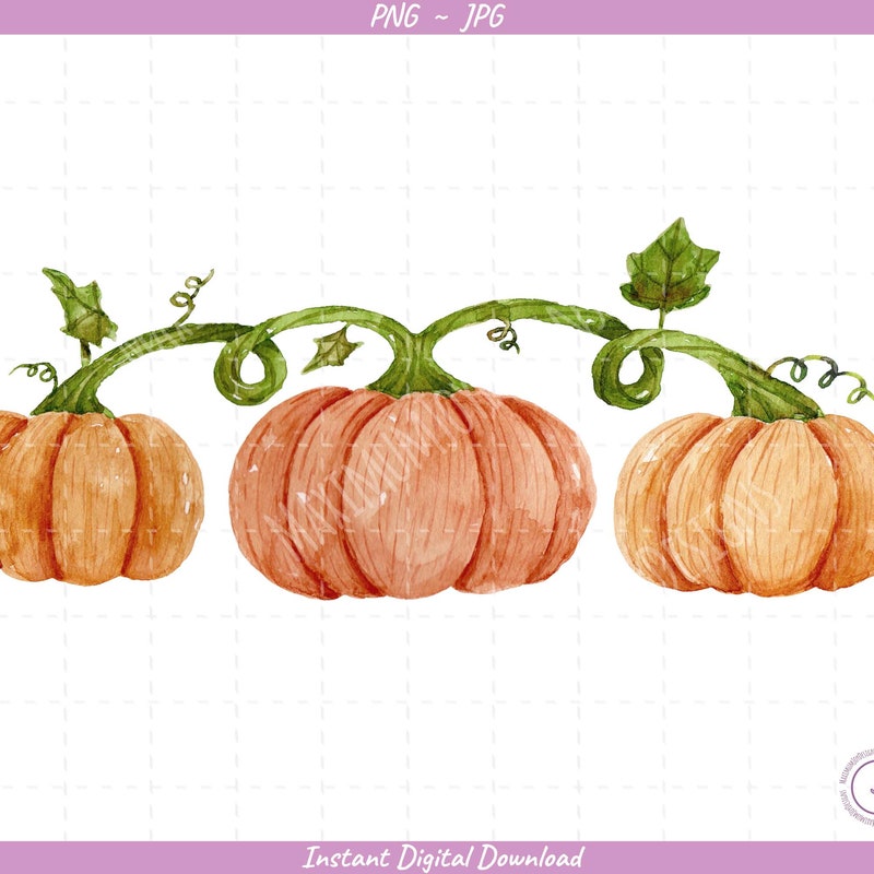 Pumpkin Vine - Etsy