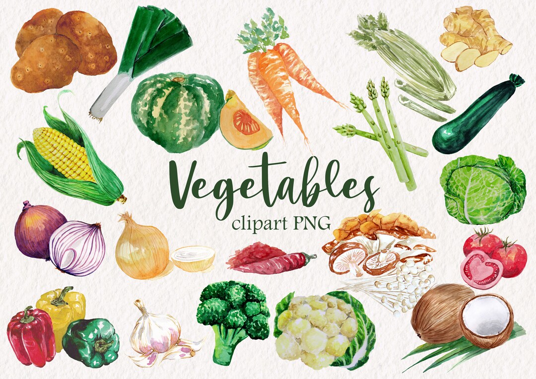 Vegetables PNG Clip Art in Watercolor Printable - Etsy Canada