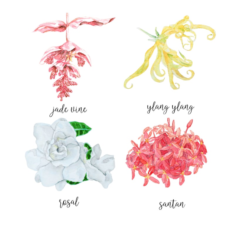 Philippine Flowers Clip Art PNG Format - Etsy