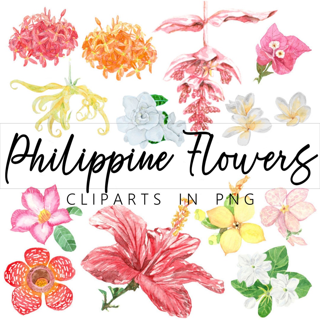 Philippine Flowers Clip Art PNG Format - Etsy