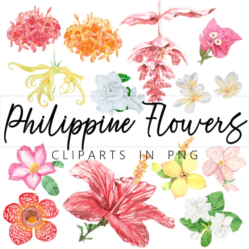 Philippine Flower Clip - Etsy