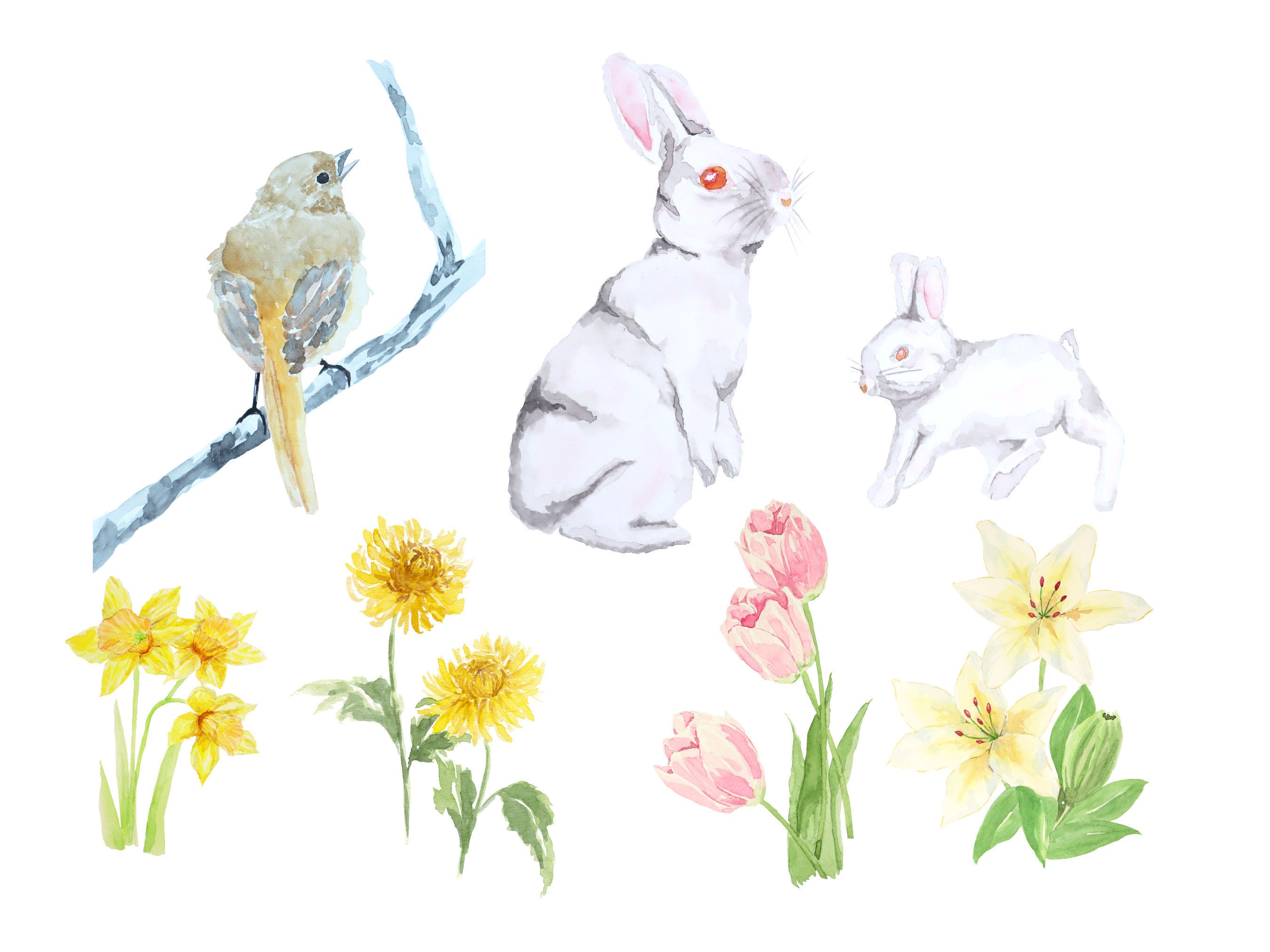 Watercolor Spring Summer PNG Clip Art, Summer Country Images Instant ...