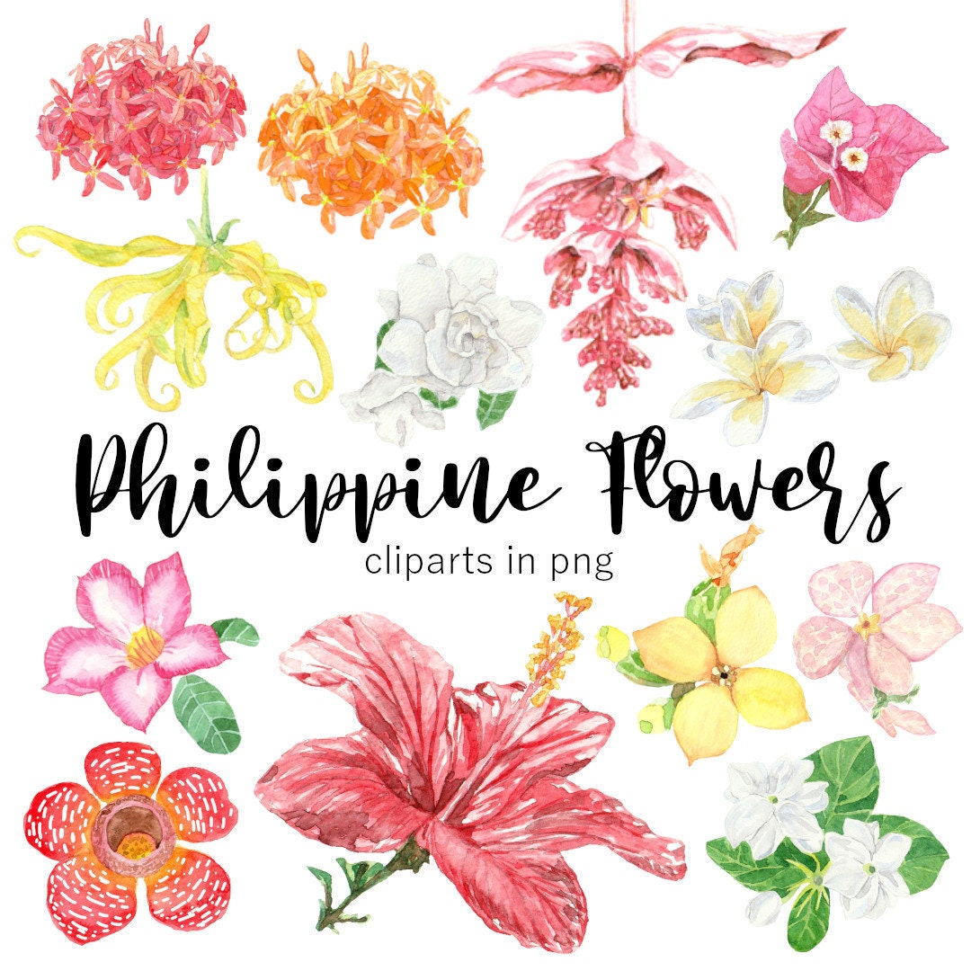 Philippine Flowers Clip Art PNG Format - Etsy