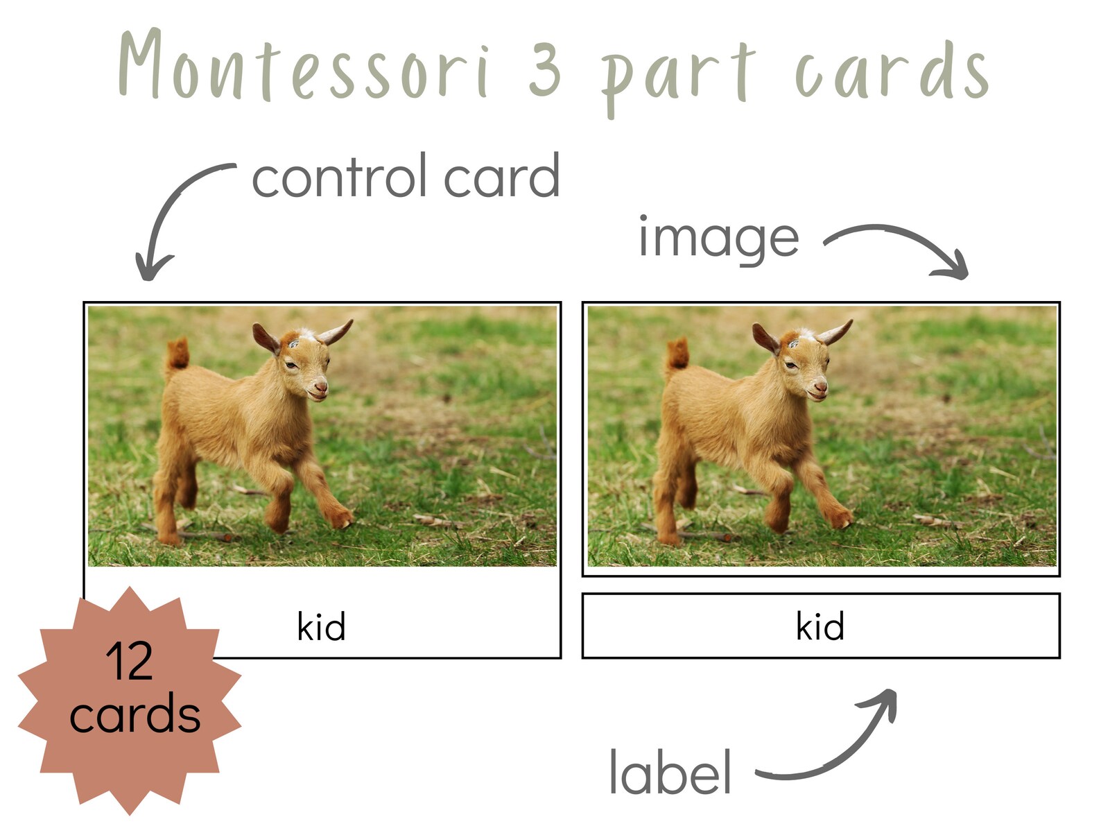 Montessori 3 Part Cards, Safari LTD Toob Farm Babies, Nomenclature ...