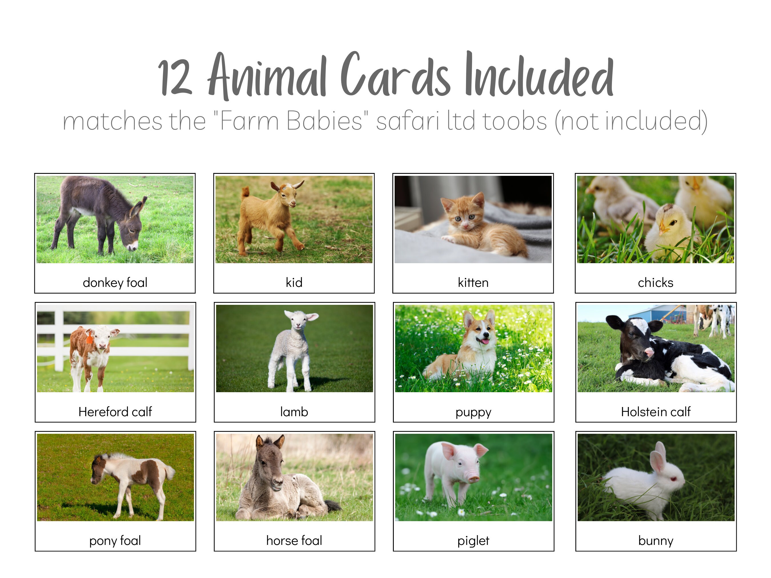 Montessori 3 Part Cards, Safari LTD Toob Farm Babies, Nomenclature ...