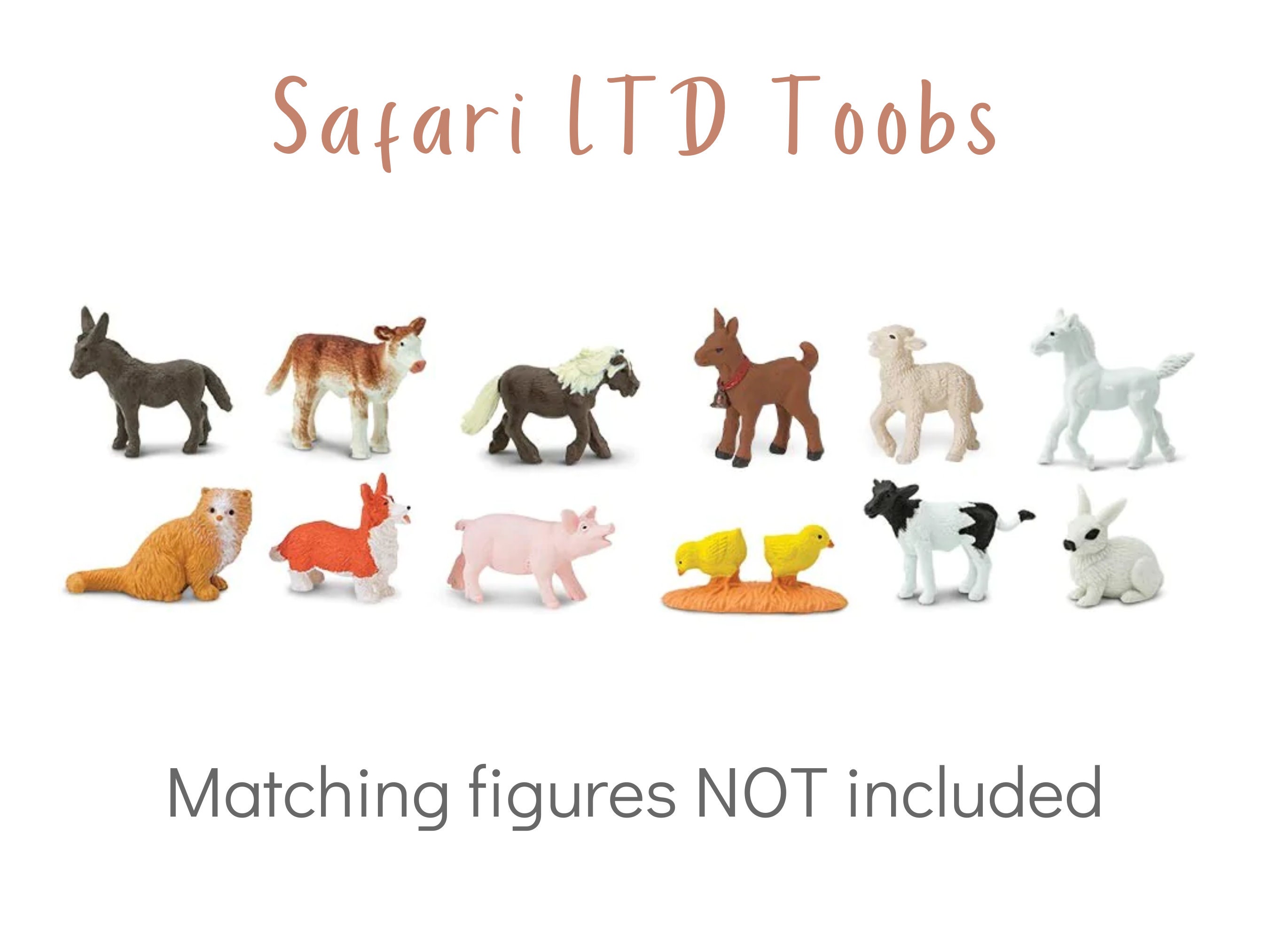 Montessori 3 Part Cards, Safari LTD Toob Farm Babies, Nomenclature ...