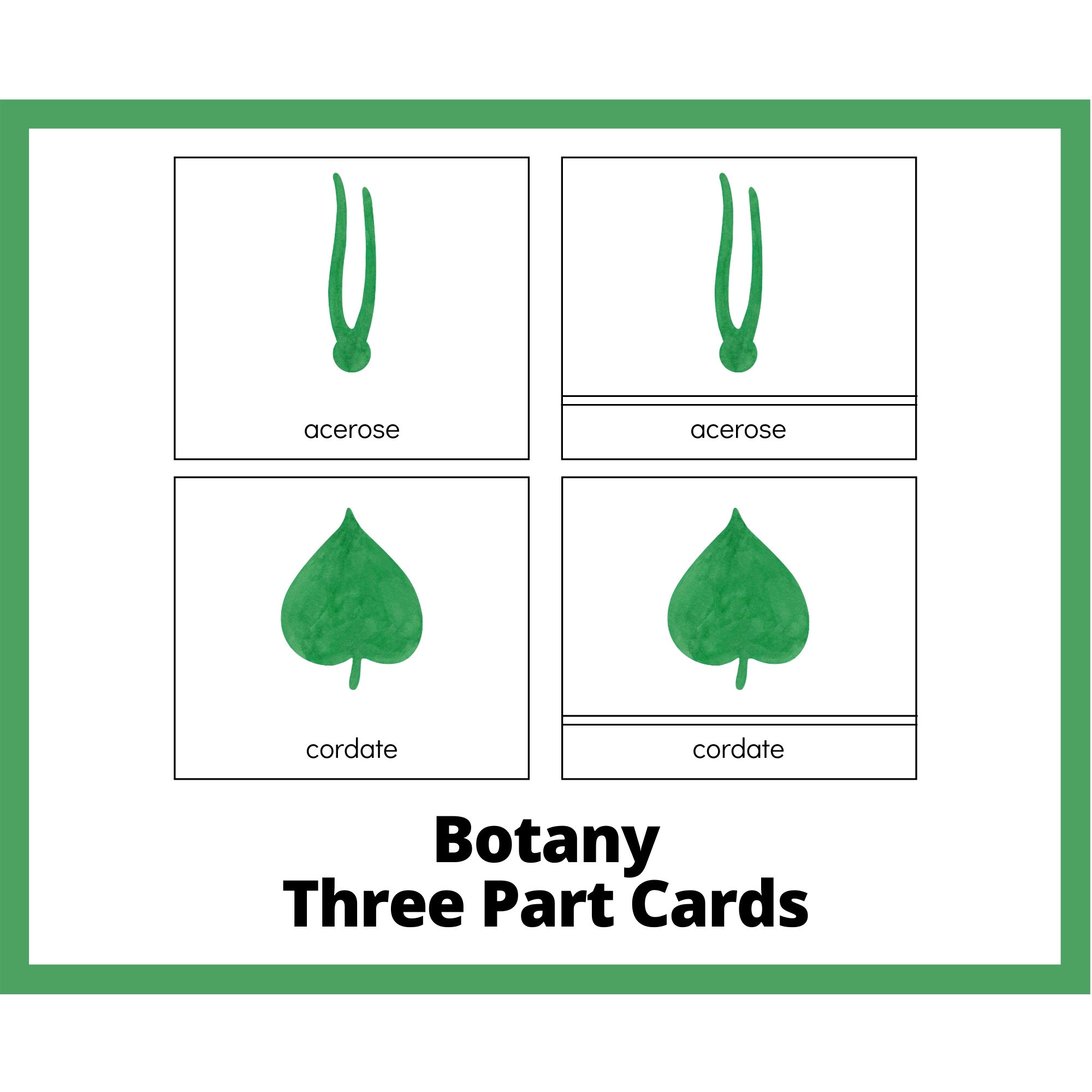 Montessori Watercolor Botany Bundle - Etsy