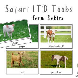 Montessori 3 Part Cards, Safari LTD Toob Farm Babies, Nomenclature ...