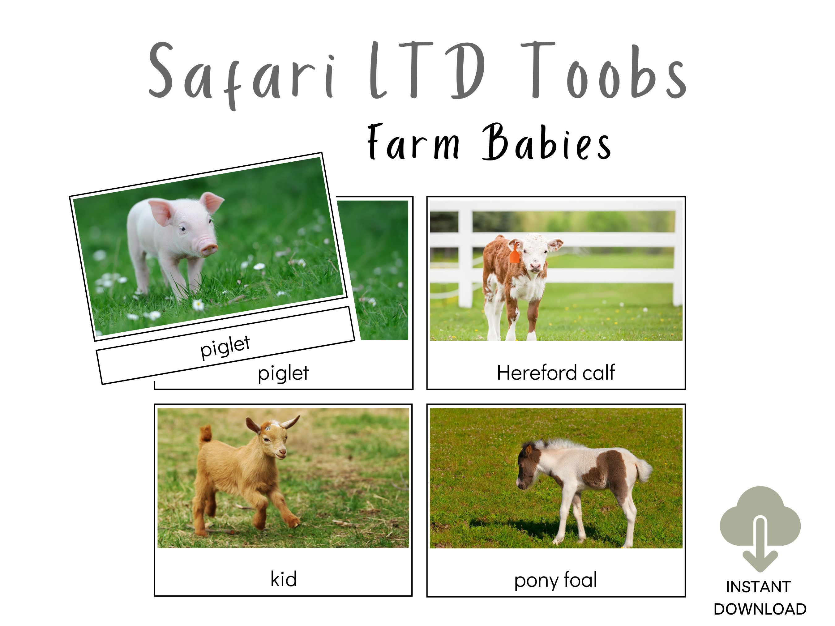 Montessori 3 Part Cards, Safari LTD Toob Farm Babies, Nomenclature ...