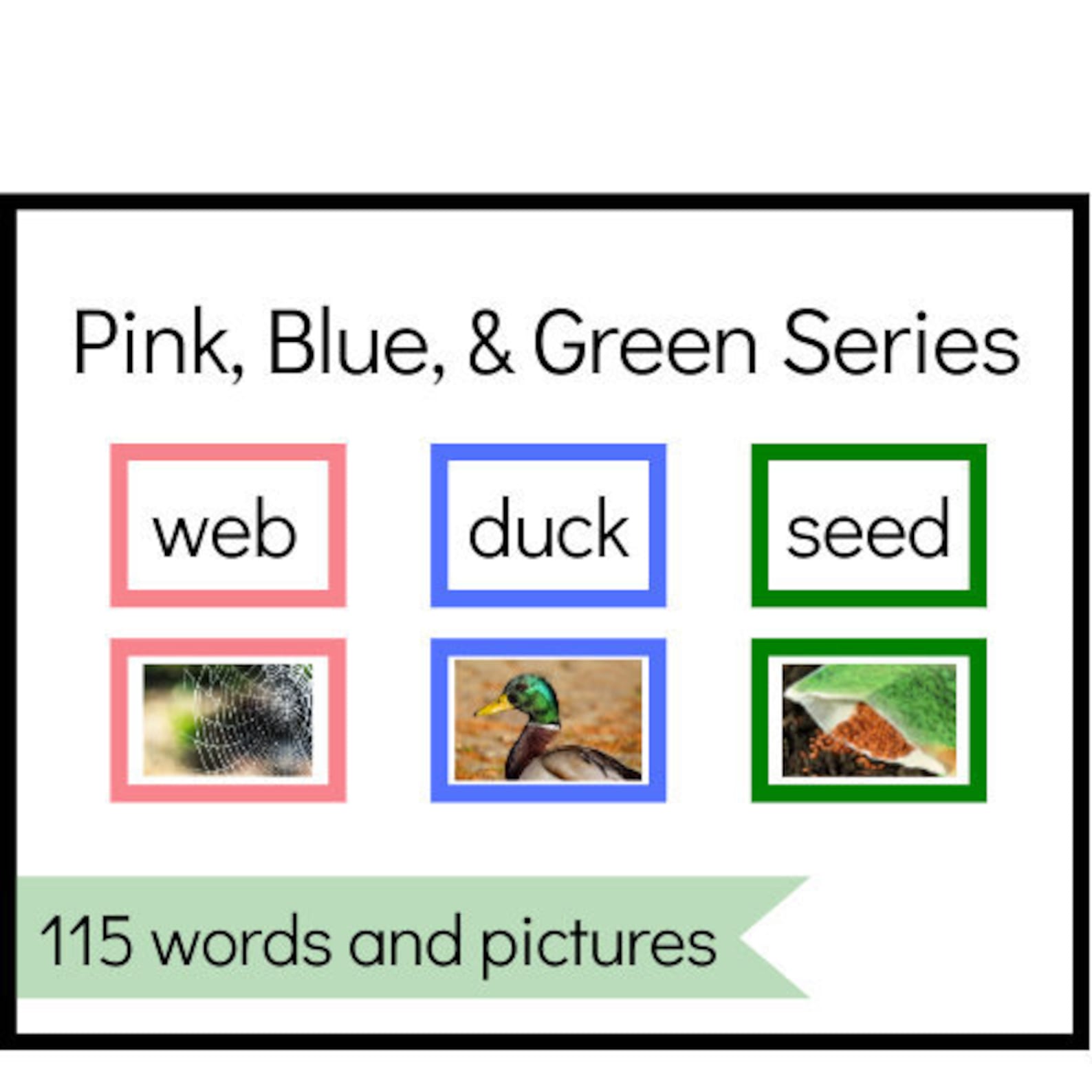 Pink, Blue, and Green Series Word Picture Cards Montessori Printables ...