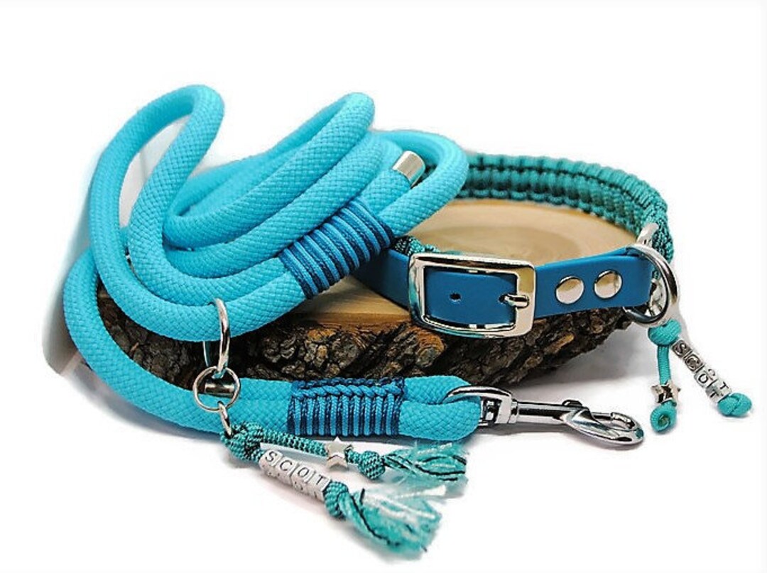 Biothane / Paracord Dog Collar Snake Turquoise Width 2cm - Etsy