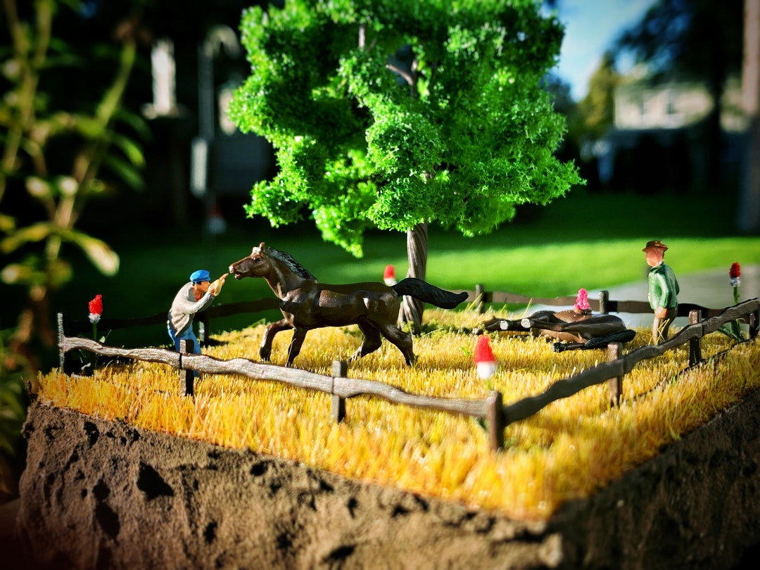 Miniature Horse Ranch Diorama - Etsy