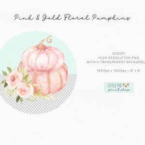 Watercolor Pink & Gold Pumpkin Clipart PNG Arrangements, Autumn Fall ...