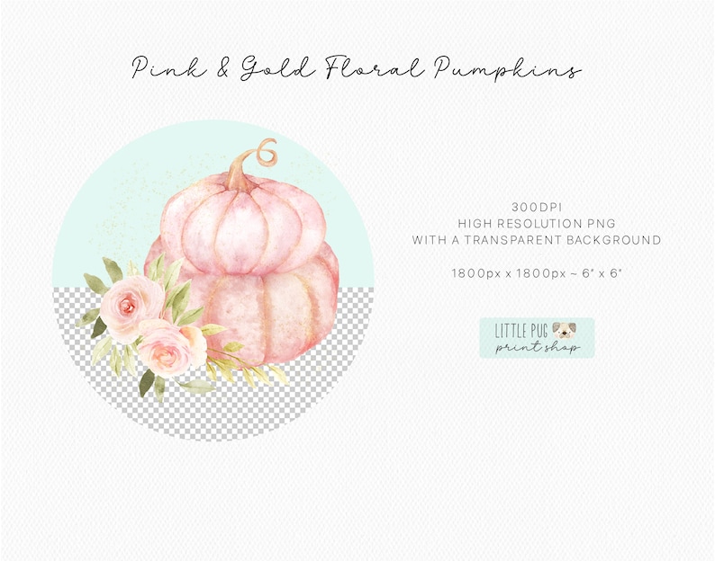 Watercolor Pink & Gold Pumpkin Clipart PNG Arrangements, Autumn Fall ...