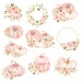Watercolor Pink & Gold Pumpkin Clipart PNG Arrangements, Autumn Fall ...