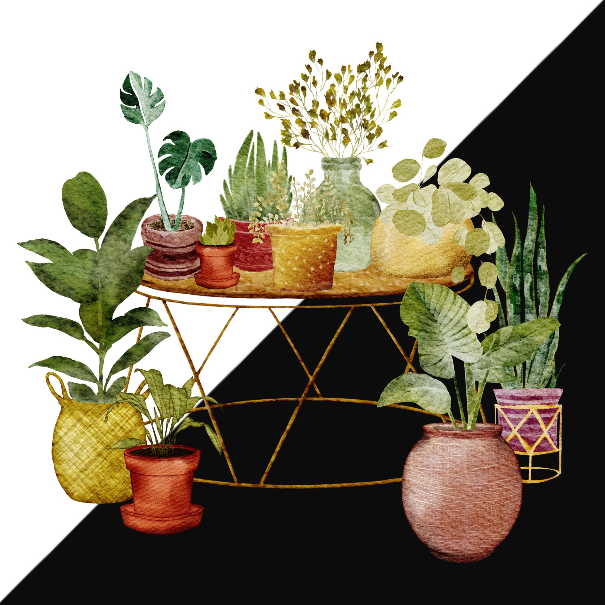 Watercolour House Plants Clipart Arrangements PNG Transparent ...