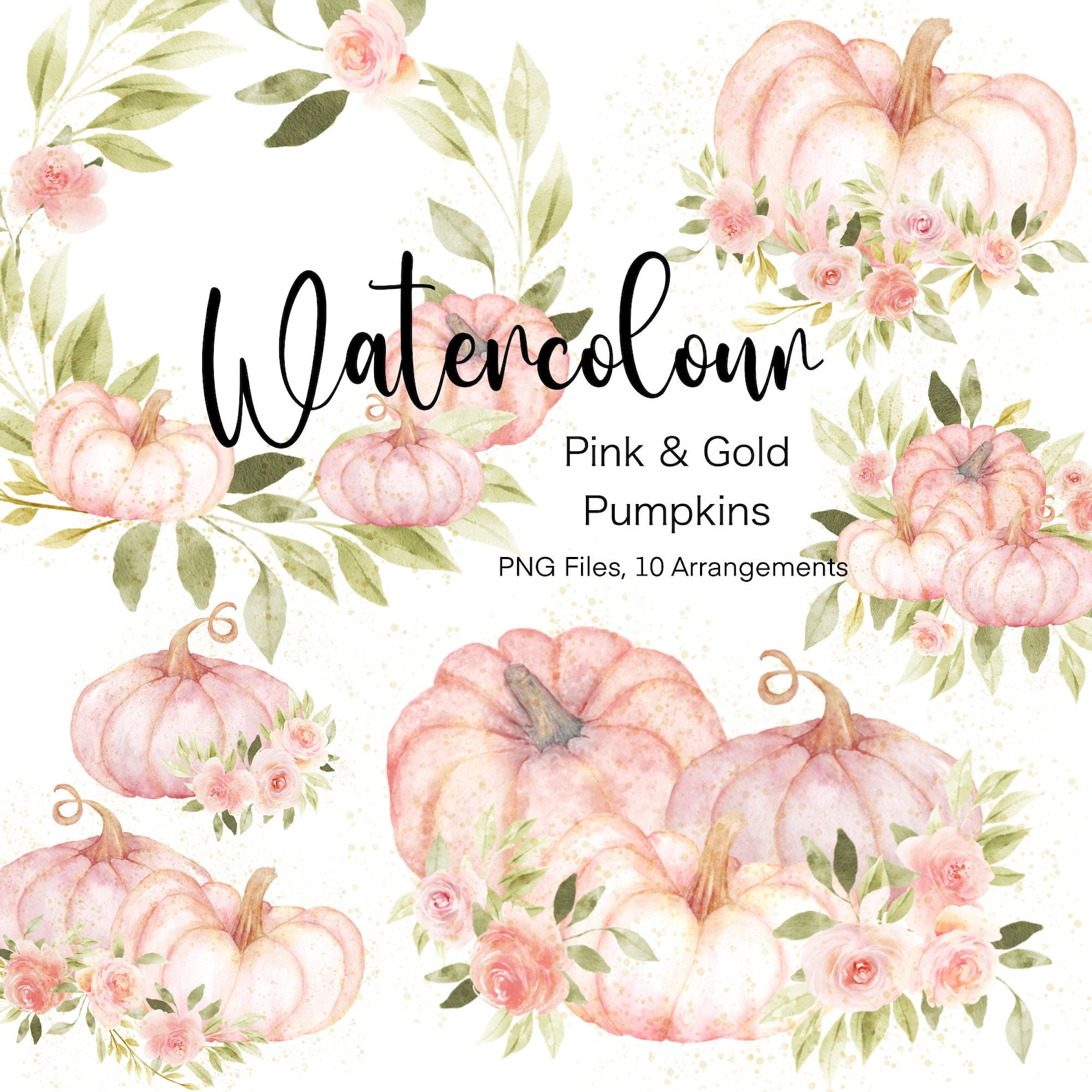 Watercolor Pink & Gold Pumpkin Clipart PNG Arrangements - Etsy