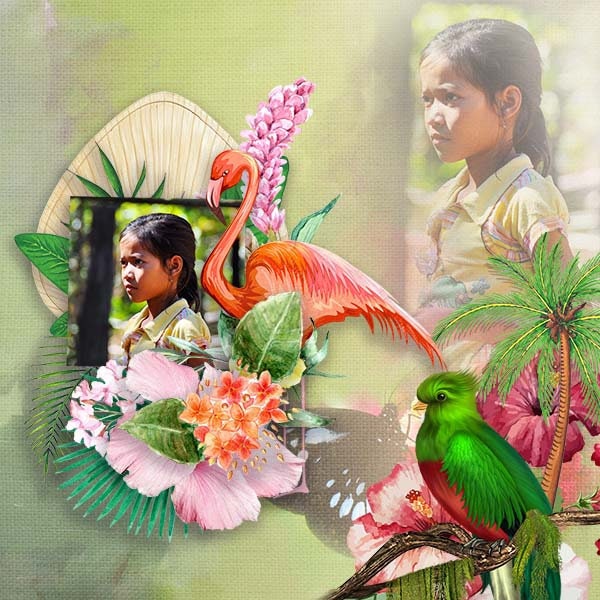 Digital Scrapbook Kit, Paradise Cove, 12x12, 300dpi, Digital Scrapbook ...