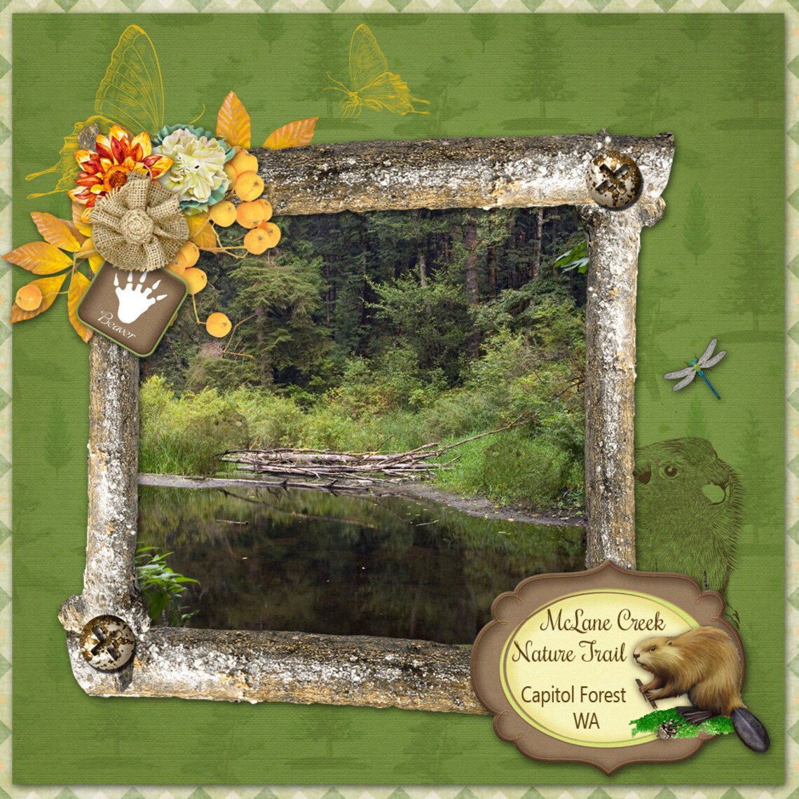 Digital Scrapbook Kit, Animals of the Northern Forests, 12x12, 300dpi ...
