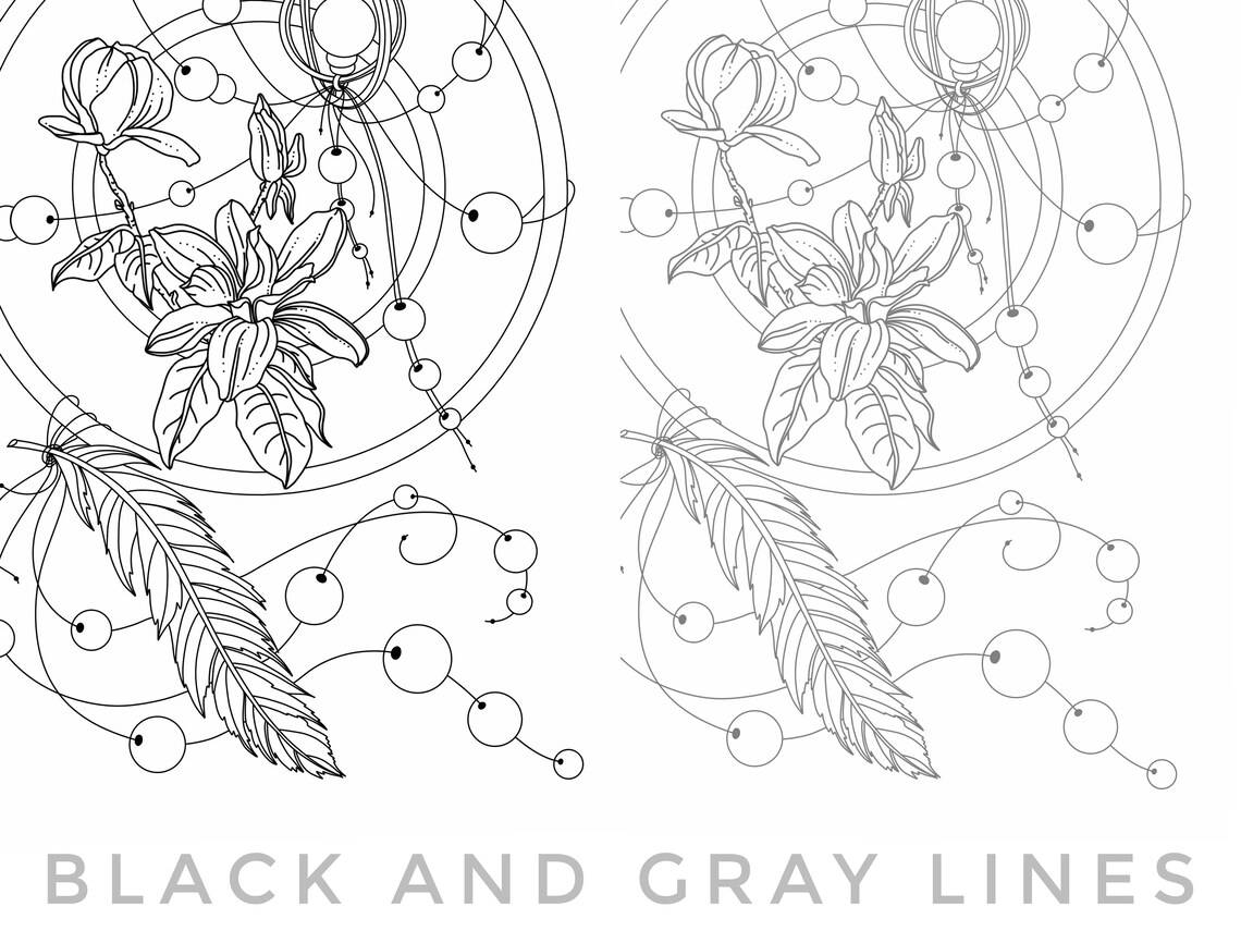 Coloring Page 20. Printable Digital Adult Coloring Page. - Etsy