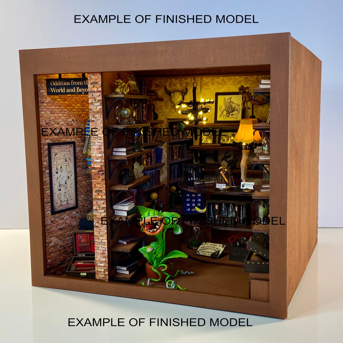 Book Nook Kit Diorama 'Library/Store' Diorama Book | Etsy