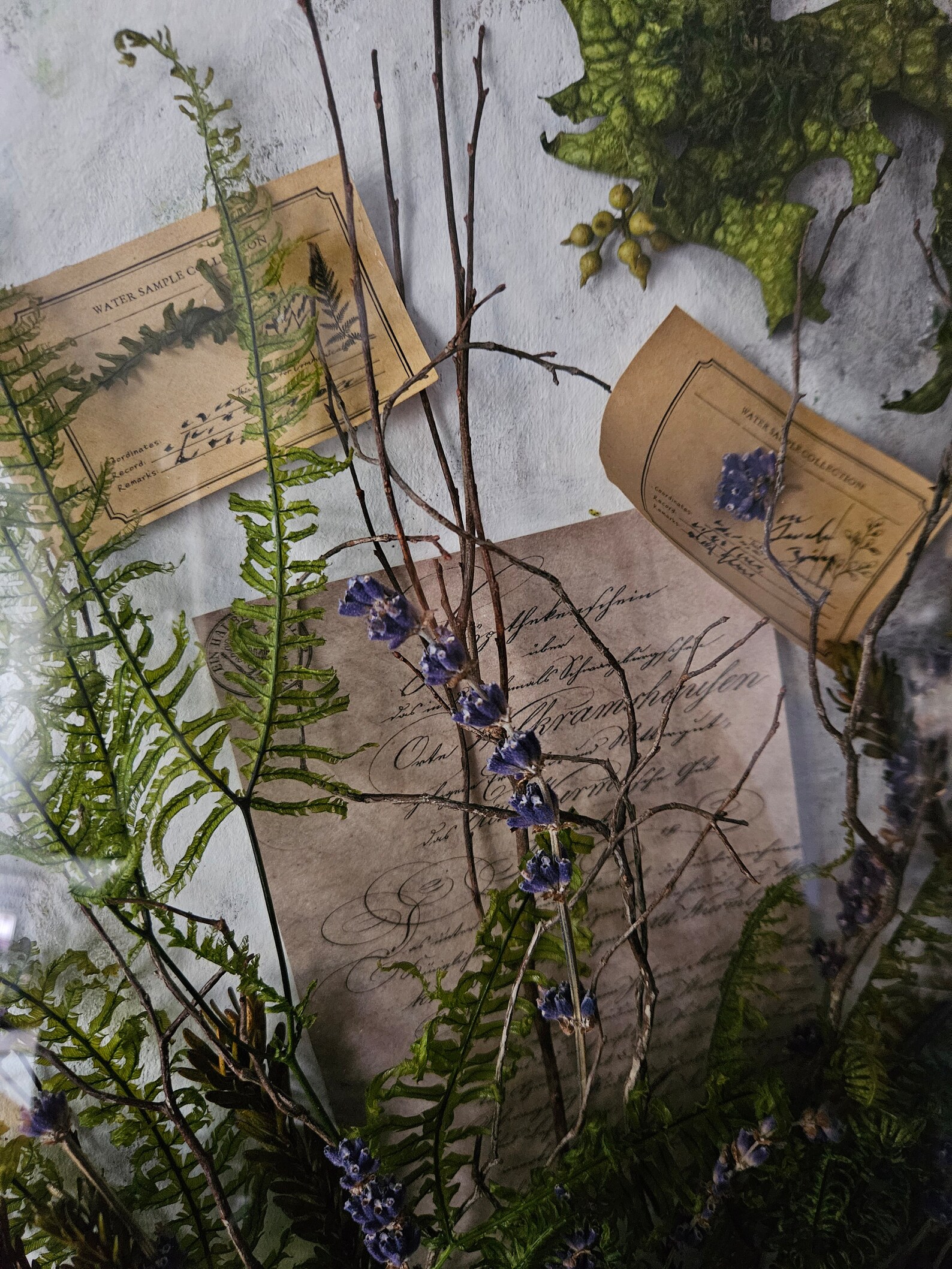 Large Oval Convex Frame Dried Flower Botanical Art Handmade - Etsy