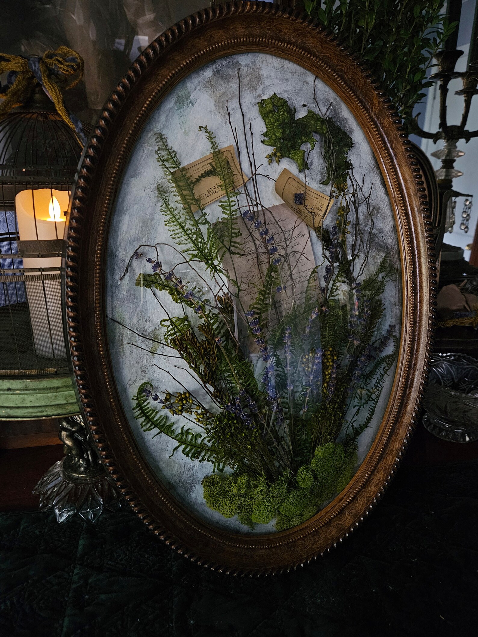 Large Oval Convex Frame Dried Flower Botanical Art Handmade - Etsy