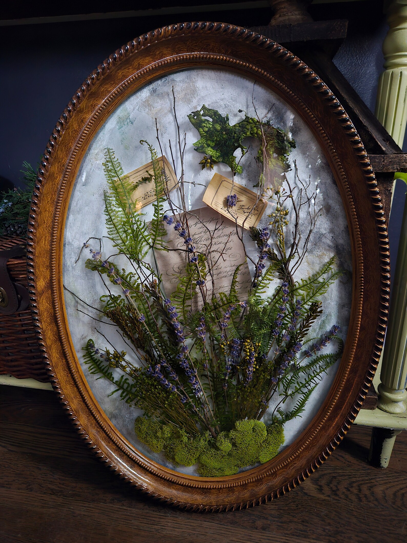 Large Oval Convex Frame Dried Flower Botanical Art Handmade - Etsy