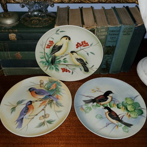 China Bird Plate - Etsy