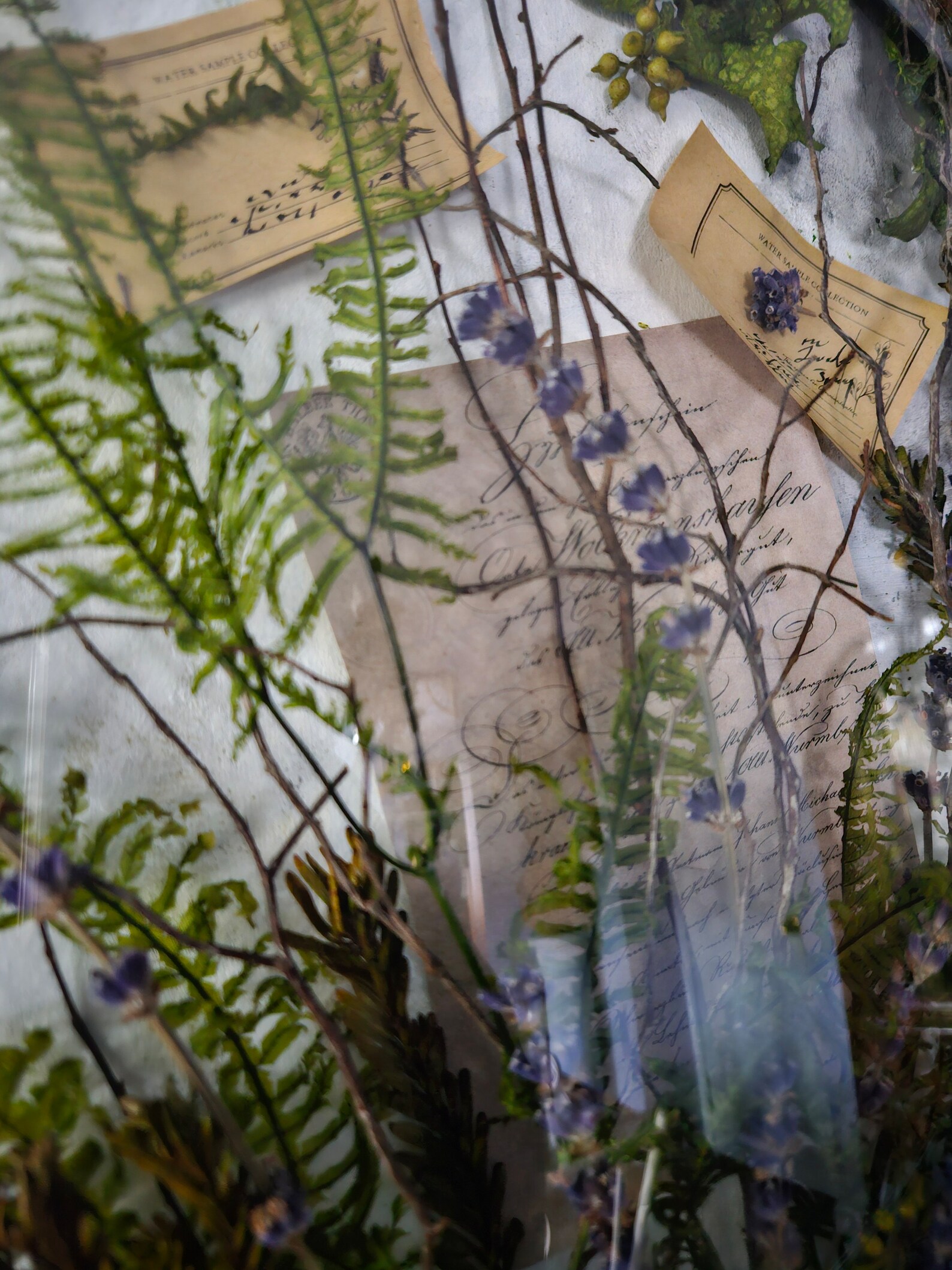 Large Oval Convex Frame Dried Flower Botanical Art Handmade - Etsy