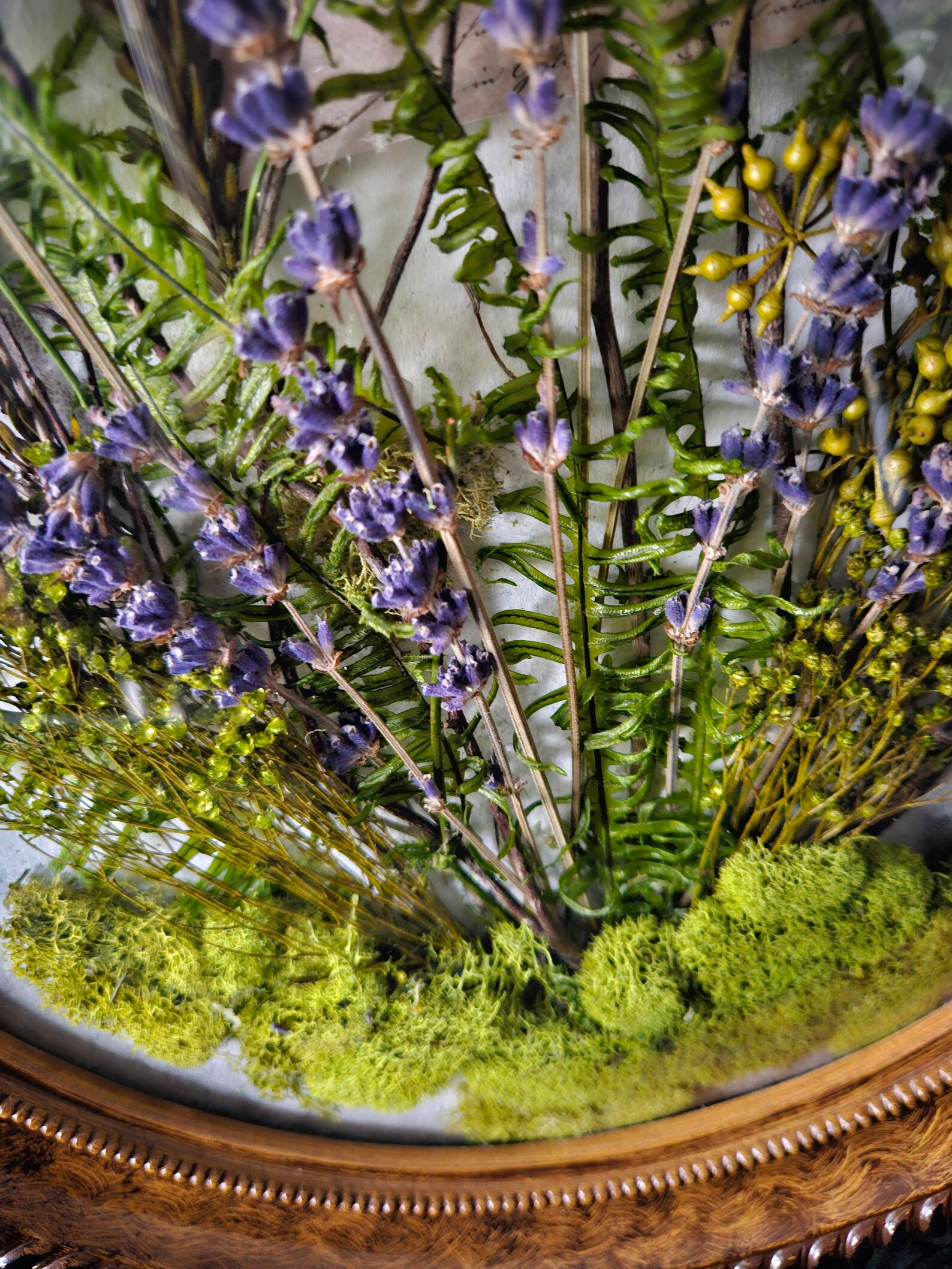 Large Oval Convex Frame Dried Flower Botanical Art Handmade - Etsy