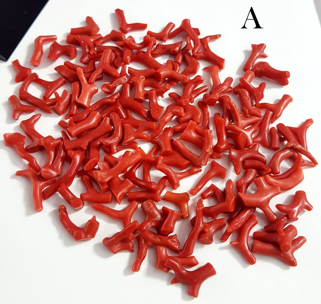 10 Pieces Natural Red Coral Rough, Branches Tree Raw Coral, AAA ...